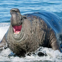 使用Clion借助LLDB查看Eigen变量 - 知乎