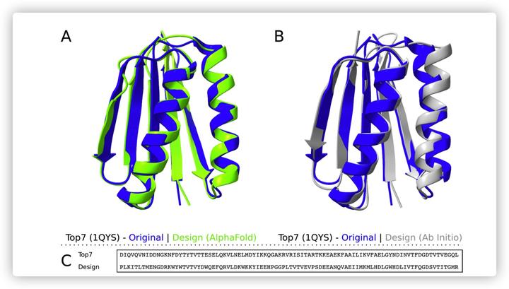 基于Alphafold2进行蛋白设计 - 知乎