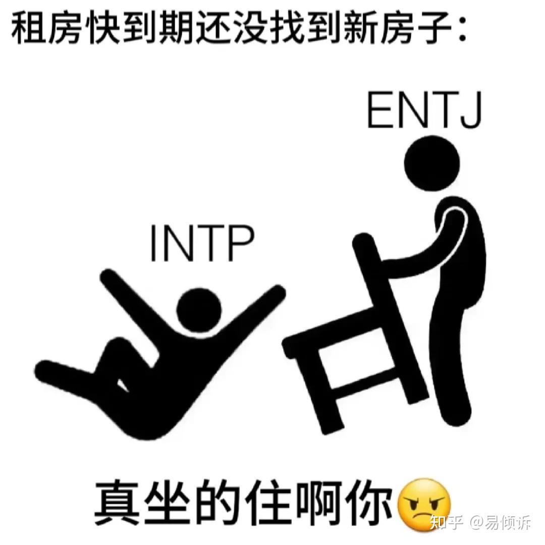 ENTJ+INTP：这对CP你磕了吗？ - 知乎