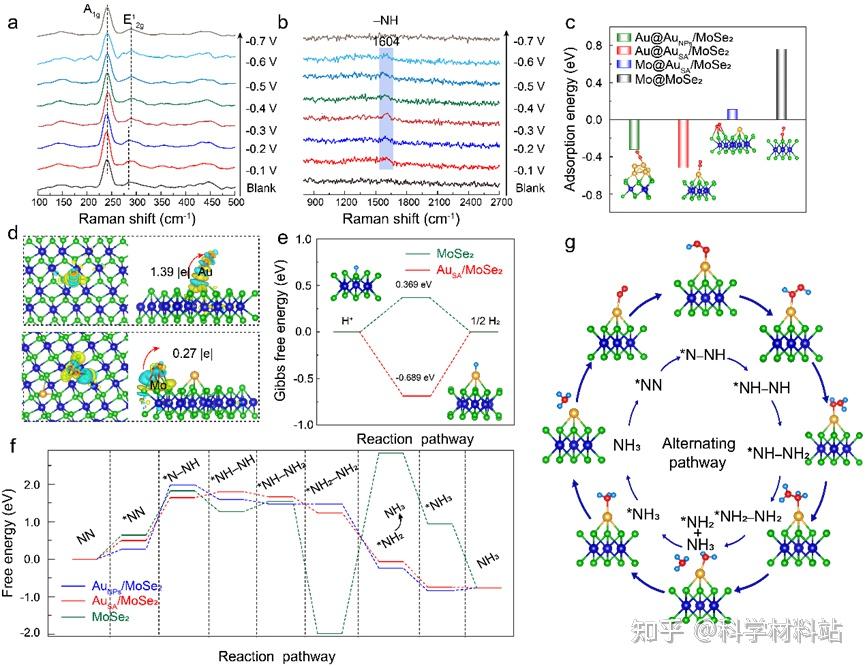 纳米多孔MoSe2负载Au单原子实现高效NRR - 知乎