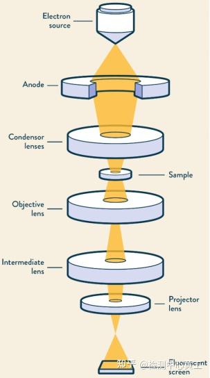 用动画带你了解透射电镜（TEM）知识重点 - 知乎