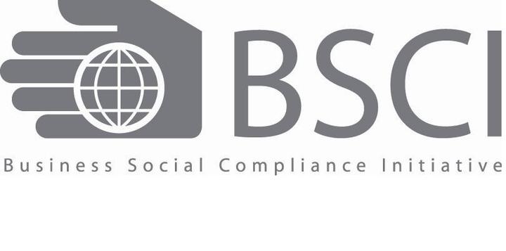 广元BSCI认证对企业的要求，眉山BSCI验厂参与条件 - 知乎