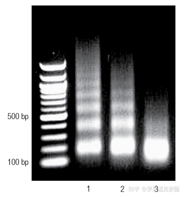 什么是ChIP？——ChIP原理概述 - 知乎