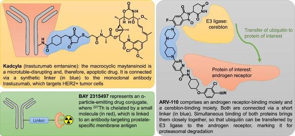 浅谈小分子new modalities - 知乎