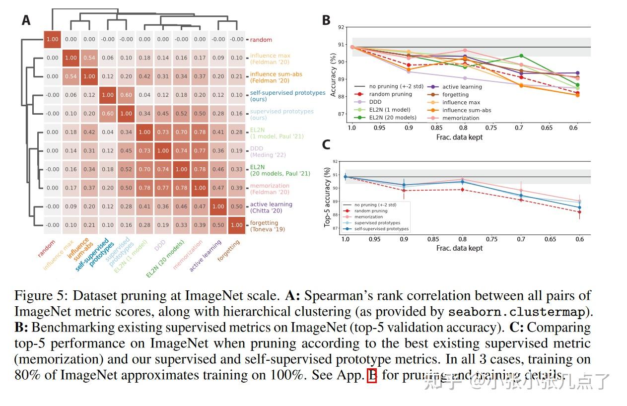 Beyond neural scaling laws: beating power law scaling via data pruning - 知乎