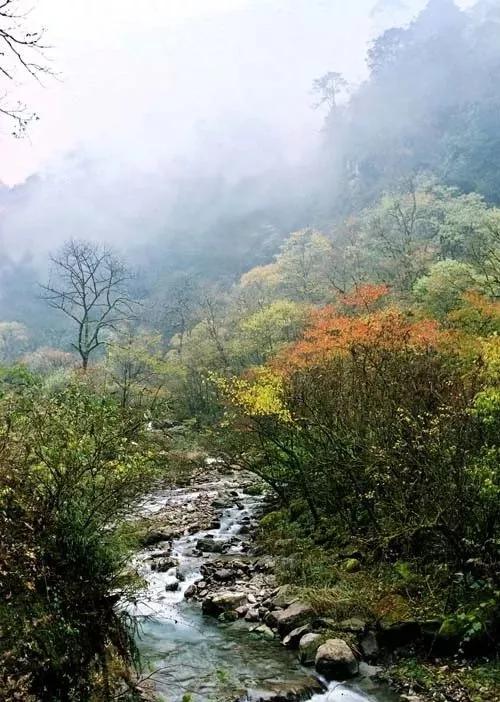 流淌的溪水 - 知乎