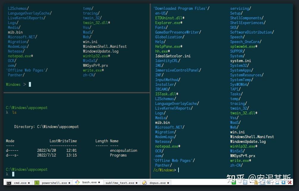 Windows Terminal 比现有的 cmder 的优势在哪里？ - 知乎