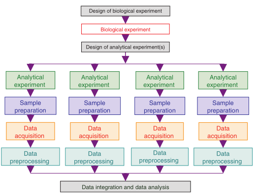 经典重读丨Nat Protoc代谢组学非靶流程 - 知乎