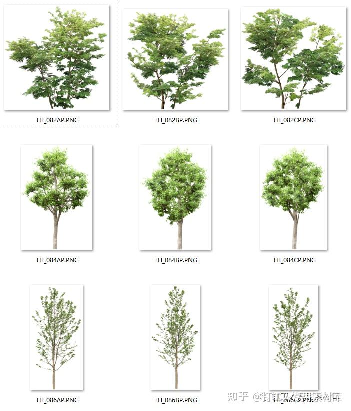 270款超棒的网红小清新手绘风and写实风立面树素材（1.2G） - 知乎