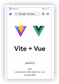 如何在手机上预览或访问vite+vue H5 本地项目 - 知乎