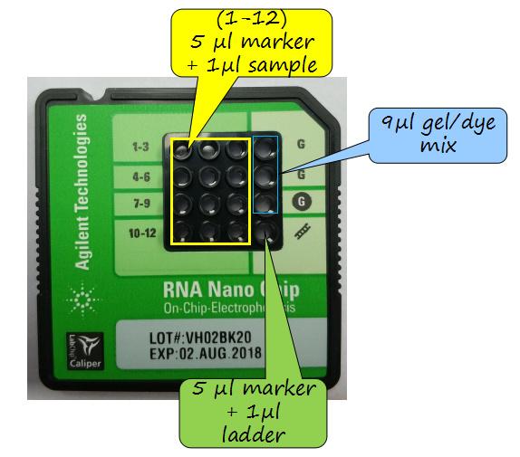 科普讲堂 | 高通量测序之(安捷伦)Agilent 2100生物分析仪 - 知乎