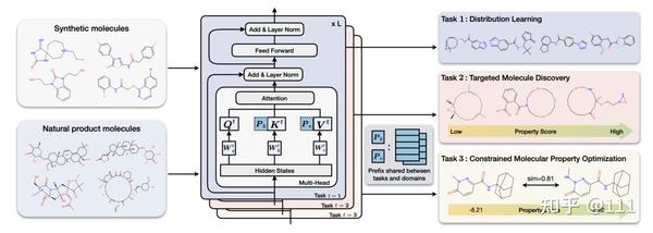 Molecular Language Model as Multi-task Generator 阅读笔记 - 知乎