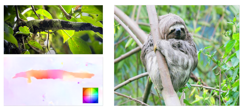 CVPR 2021 论文大盘点-图像分割篇 - 知乎