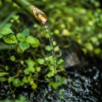 INCAR参数设置：数据输入与输出 - 知乎