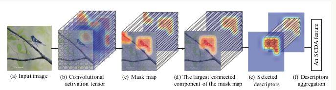 细粒度分类SCDA&Recurrent Attention Convolutional Neural Networ - 知乎