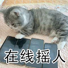 Wana AI如何用最低成本从0-1搭建一个日入千元的卖书AI直播间 - 知乎