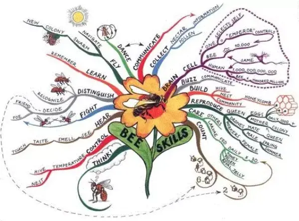 如何高效使用思维导图，只看这篇就够了 - 知乎