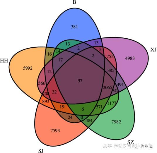 R|UpSetR包-集合可视化 - 知乎