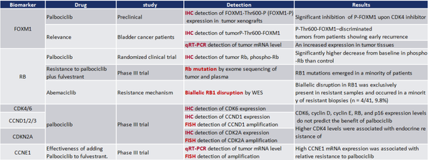 CDK4/6抑制剂未来可期 - 知乎