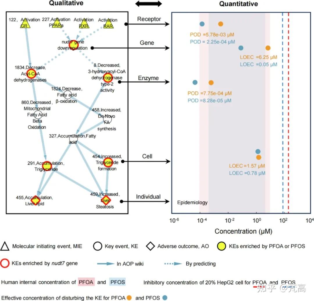 PFOS和PFOA怎么来的？有什么危害？ - 知乎
