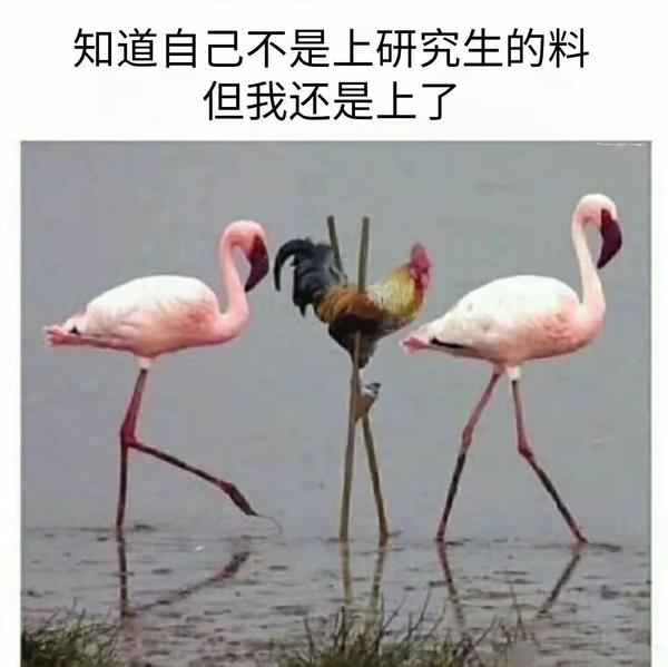 上岸朋友圈文案，我都给你想好了！ 知乎