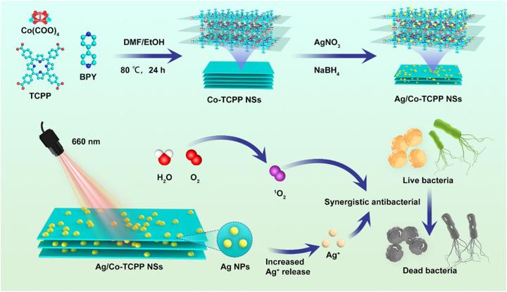 【编译】银纳米颗粒装饰的二维Co-TCPP金属有机框架纳米片用于协同光动力和银离子抗菌 - 知乎