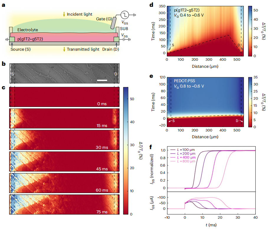 《Nat. Mater.》：有机电化学晶体管 - 知乎