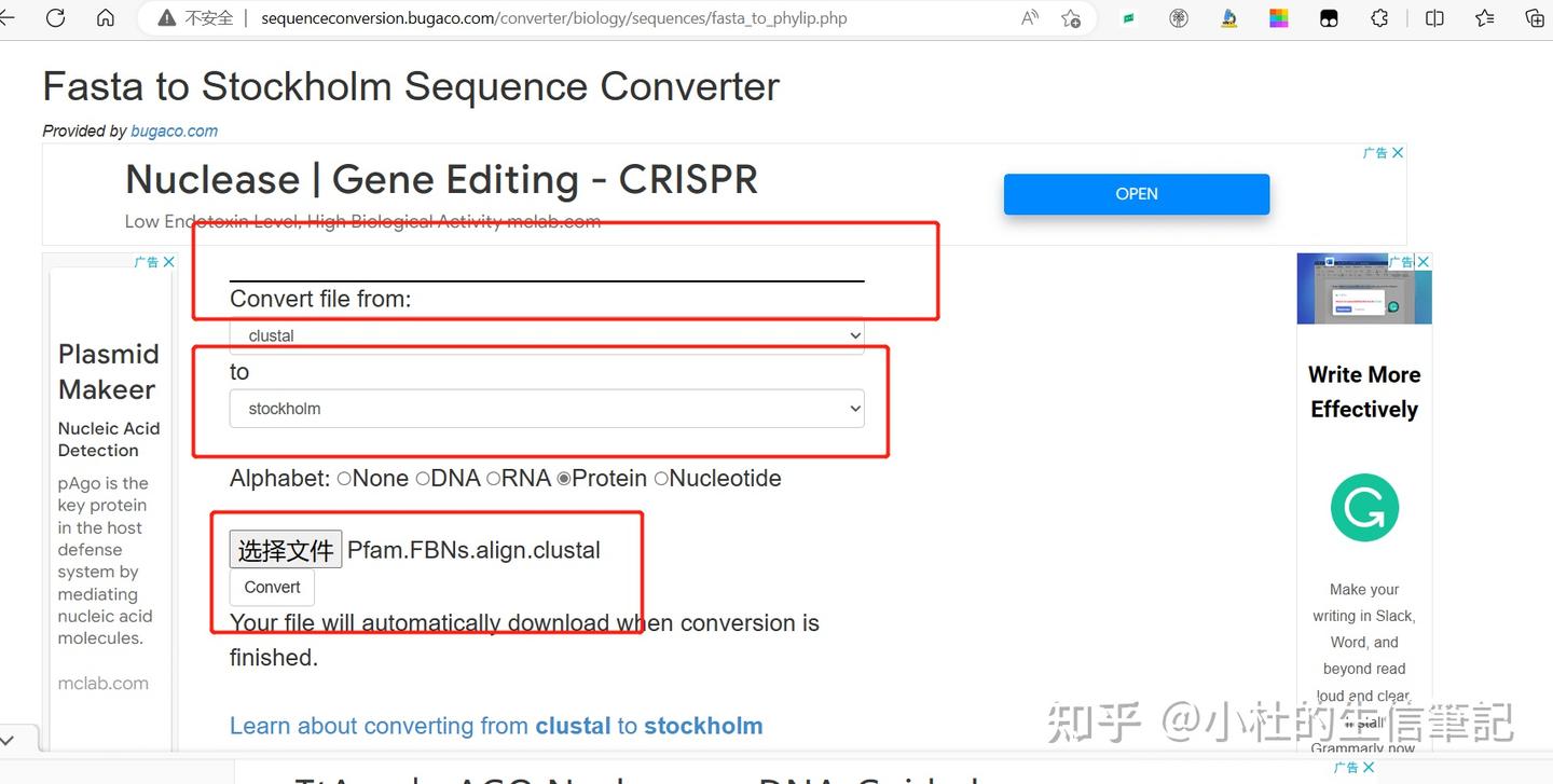 基于TBtools做基因家族分析教程 （全） - 知乎