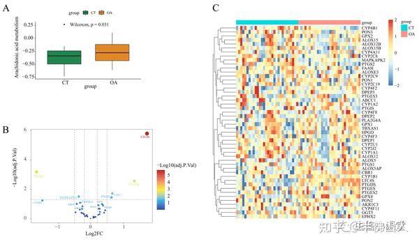 最新6.9分非肿瘤纯生信，热点基因集+机器学习+分型+单细胞，内容丰富，值得参考！ - 知乎