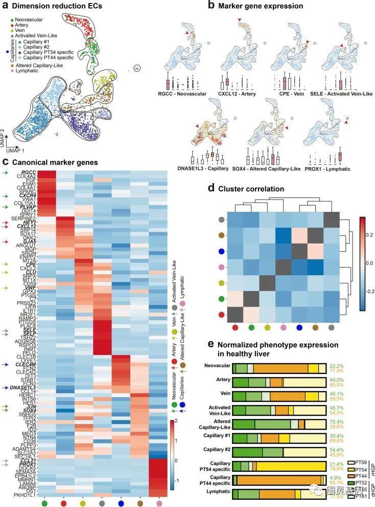 Mol Cancer | 单细胞分辨率下肿瘤不同组织学生长模式(HGP)的分子差异 - 知乎