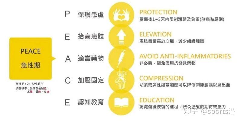 最新软组织损伤处理原则：PEACE & LOVE - 知乎