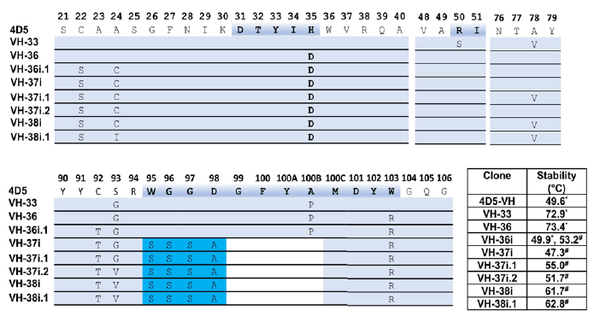 细胞内VHH - 知乎