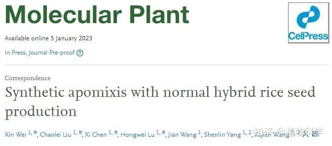 Mol Plant | 中国水稻所王克剑团队建立正常结实率杂交水稻无融合生殖体系 - 知乎