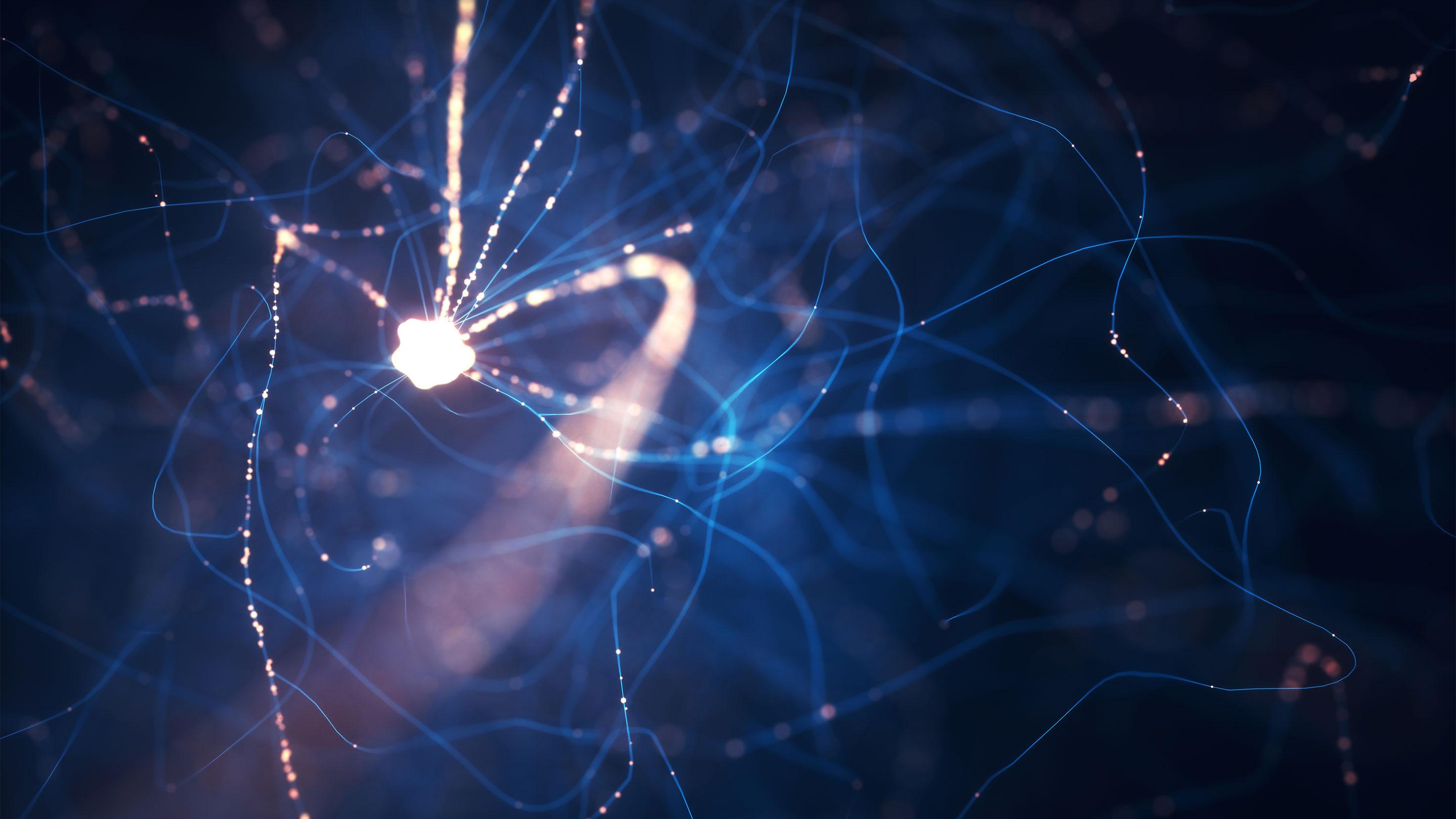 How Computationally Complex Is A Single Neuron 一个单神经元在计算上有多复杂？ 知乎