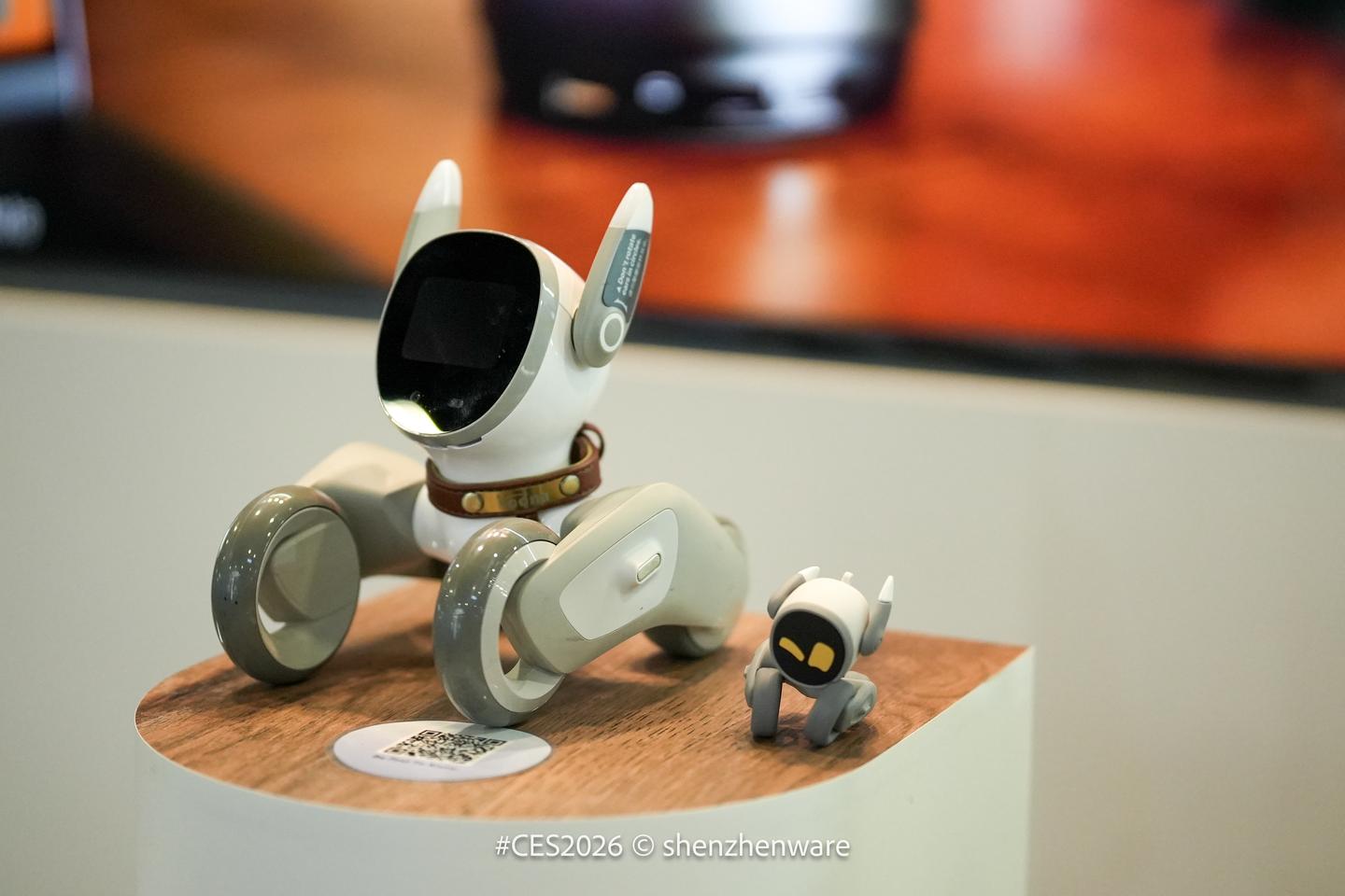 把具身 AI 养在桌面上：LOONA Deskmate 如何用刚需接住大模型的地气？| CES2026 - 知乎