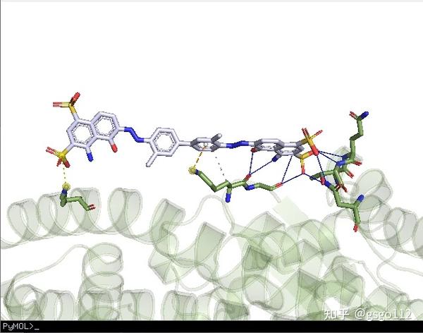 pymol作对接图第2版（3min快速做图） - 知乎