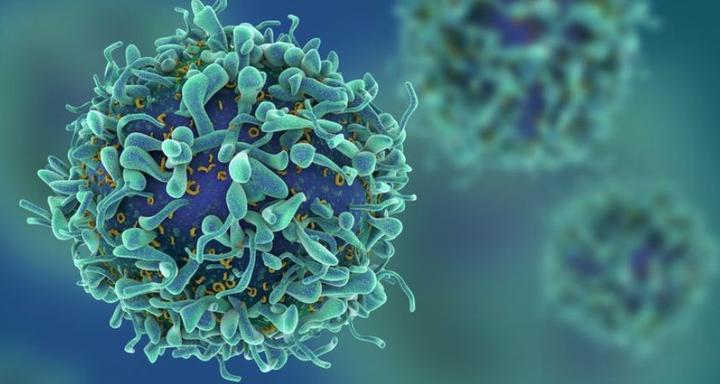 AAV病毒和它的血清型们 - 知乎