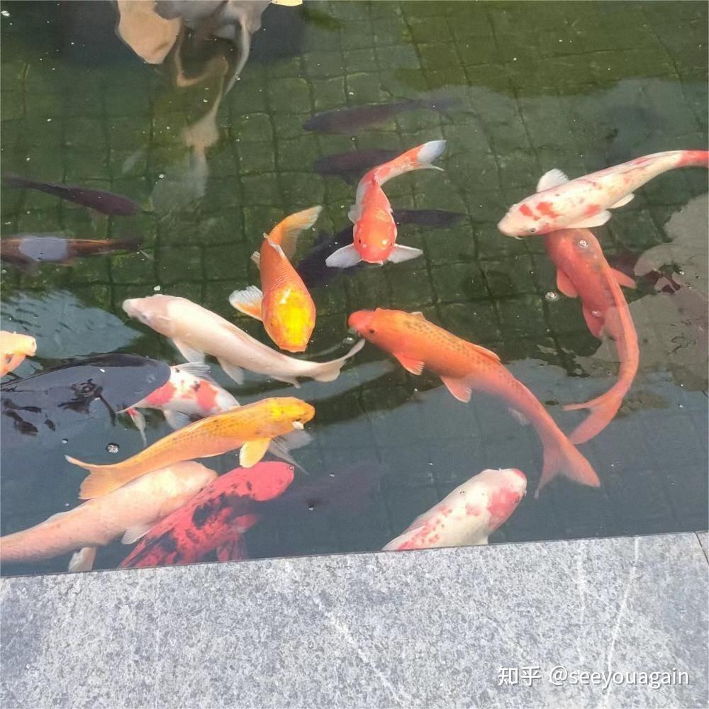 根据Helcon增加噪声的思路，用OpenCV复现给图像增加高斯噪声 - 知乎