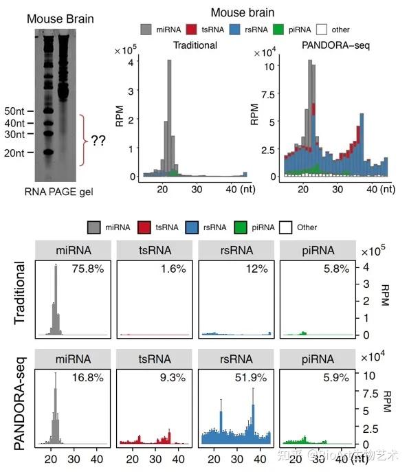 Nat Cell Biol | PANDORA-seq: 打开小RNA世界的潘多拉魔盒 - 知乎