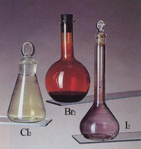 WHYC历险记 - 知乎