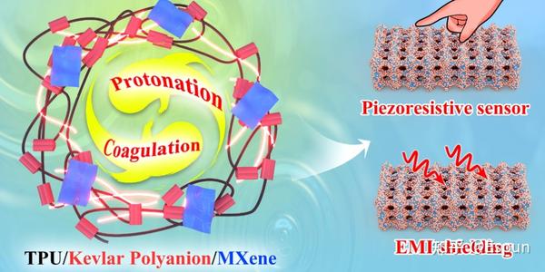 上海大学冯欣等：芳纶聚阴离子调控的高度有序TPU/ANF导电泡沫用于压阻传感和电磁屏蔽 - 知乎