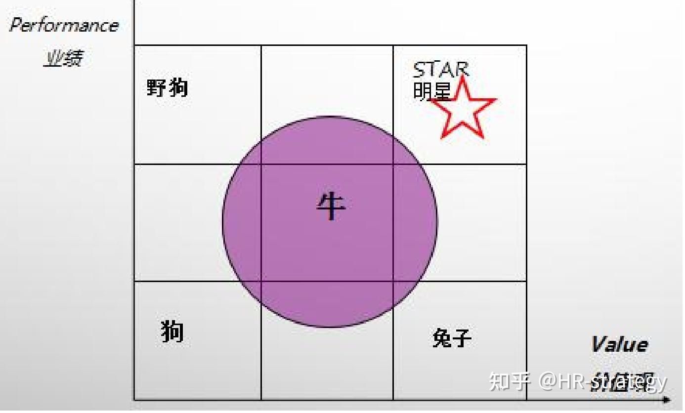 案例——阿里的绩效管理实践 知乎