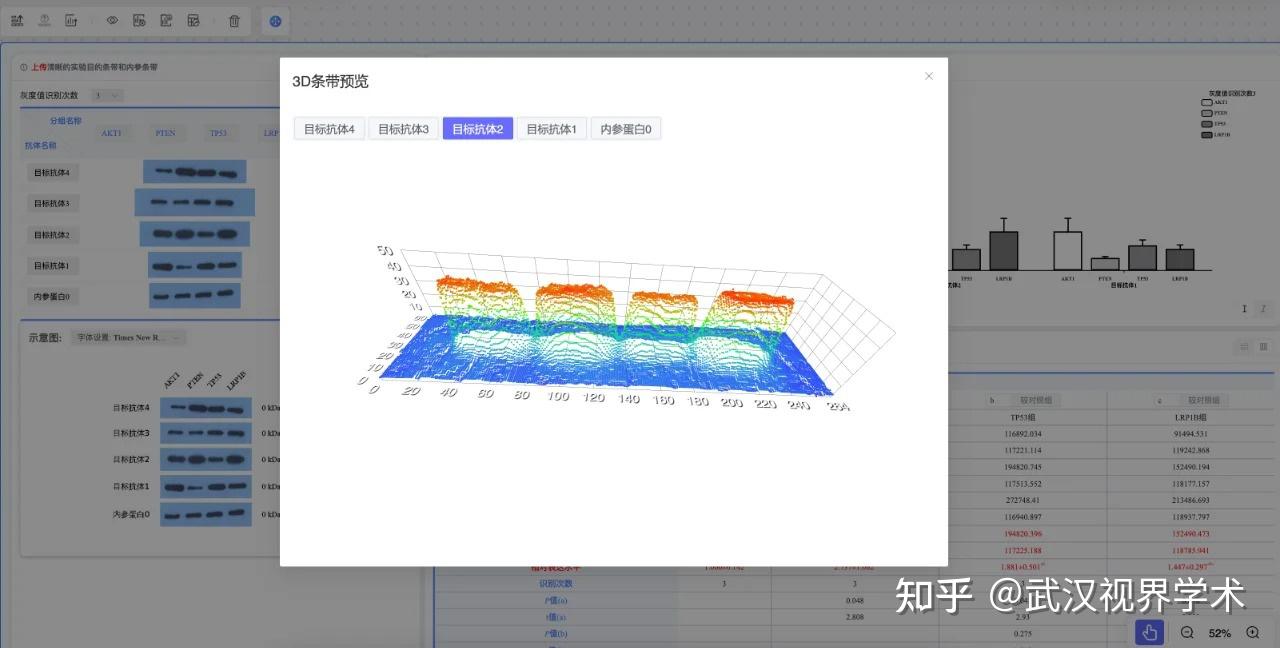 干货分享｜如何轻松搞定WB实验对照体系？ - 知乎