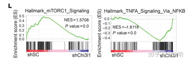 GSEA分析后的通路上调还是下调呢 - 知乎