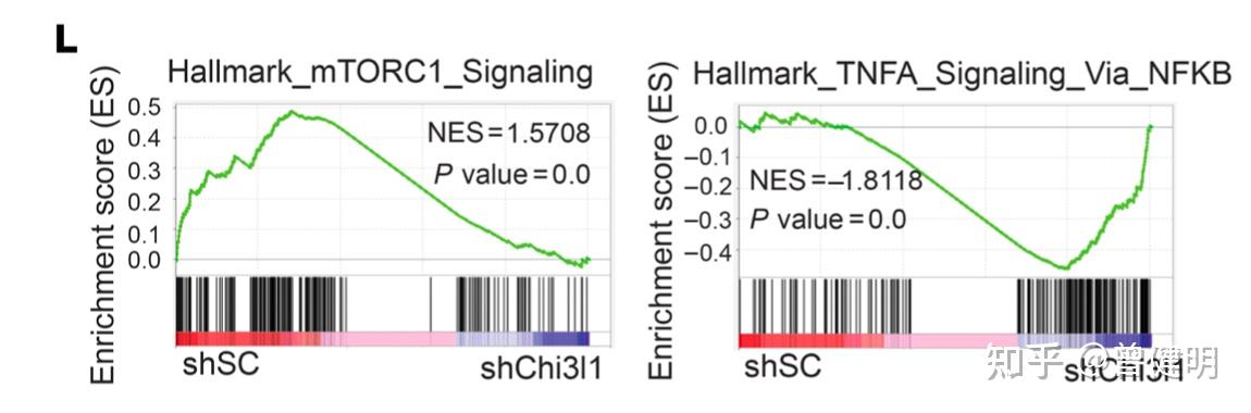 GSEA分析后的通路上调还是下调呢 - 知乎