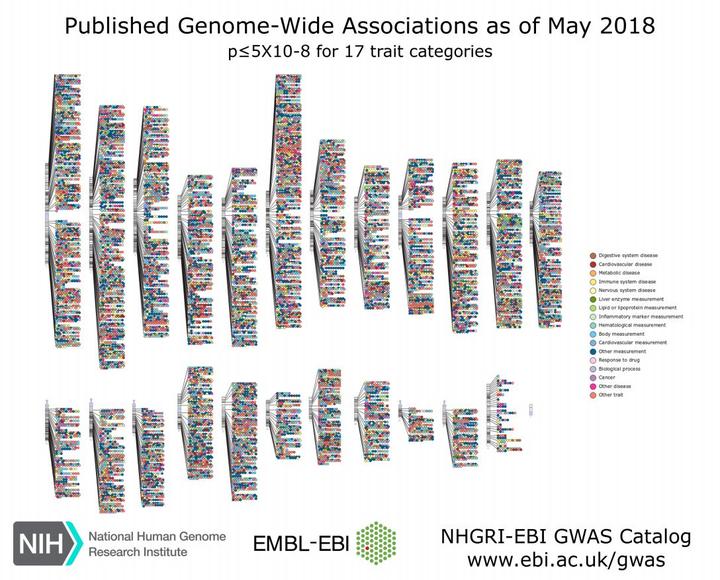 如何理解GWAS中Manhattan plot和QQ plot所传递的信息 - 知乎