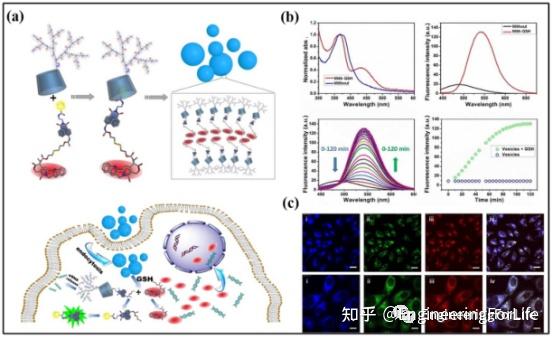 《AHM》综述：药物自给药系统--分子设计、构建策略及生物应用 - 知乎