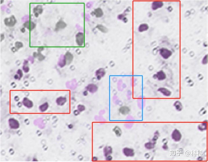 Figcheck 图片查重工具 - 知乎