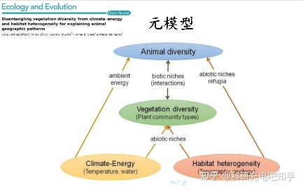 【结构方程模型】R基础、SEM原理、lavaan/piecewiseSEM双路径、潜变量/复合变量、局域/全局估计、贝叶斯SEM等 - 知乎