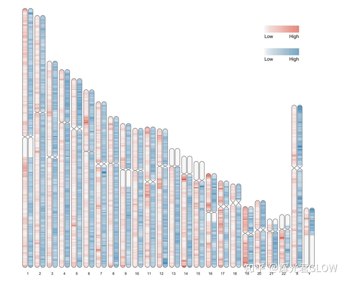 生信软件5 - RIdeogram包绘制染色体密度图 - 知乎